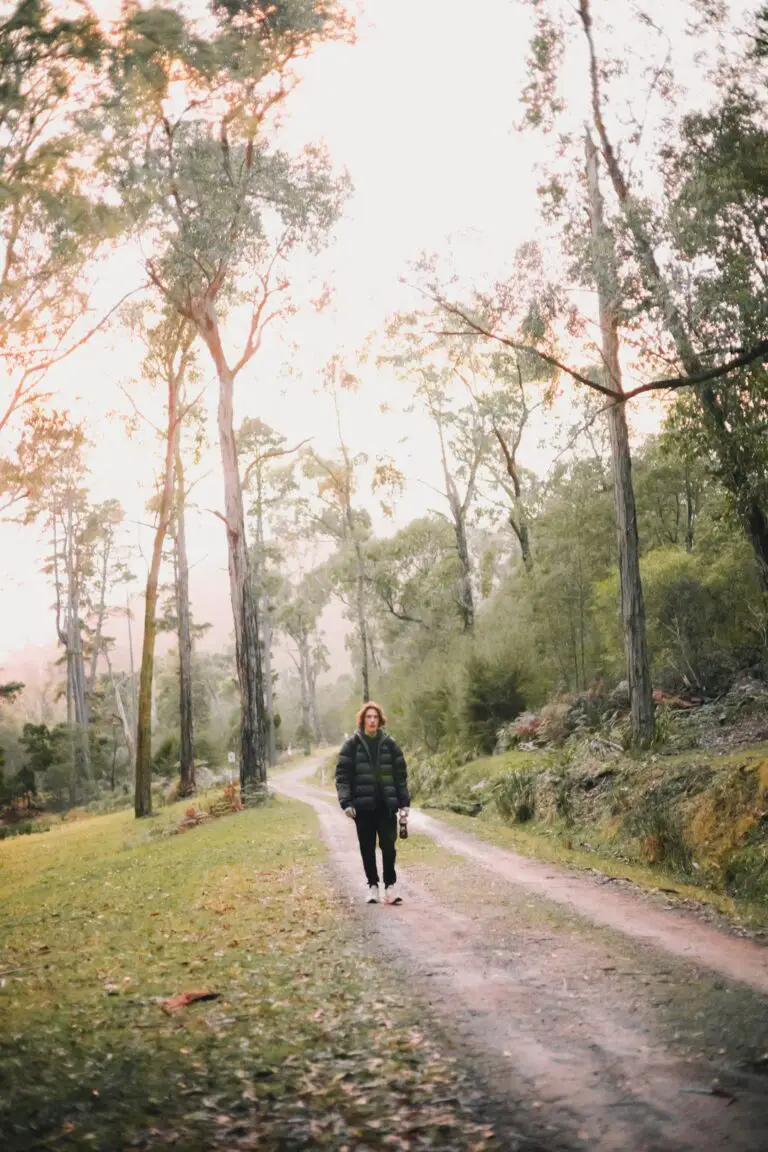 25 Walkathon Ideas That Will Boost Your Fundraising in 2026 🚶‍♀️ ...